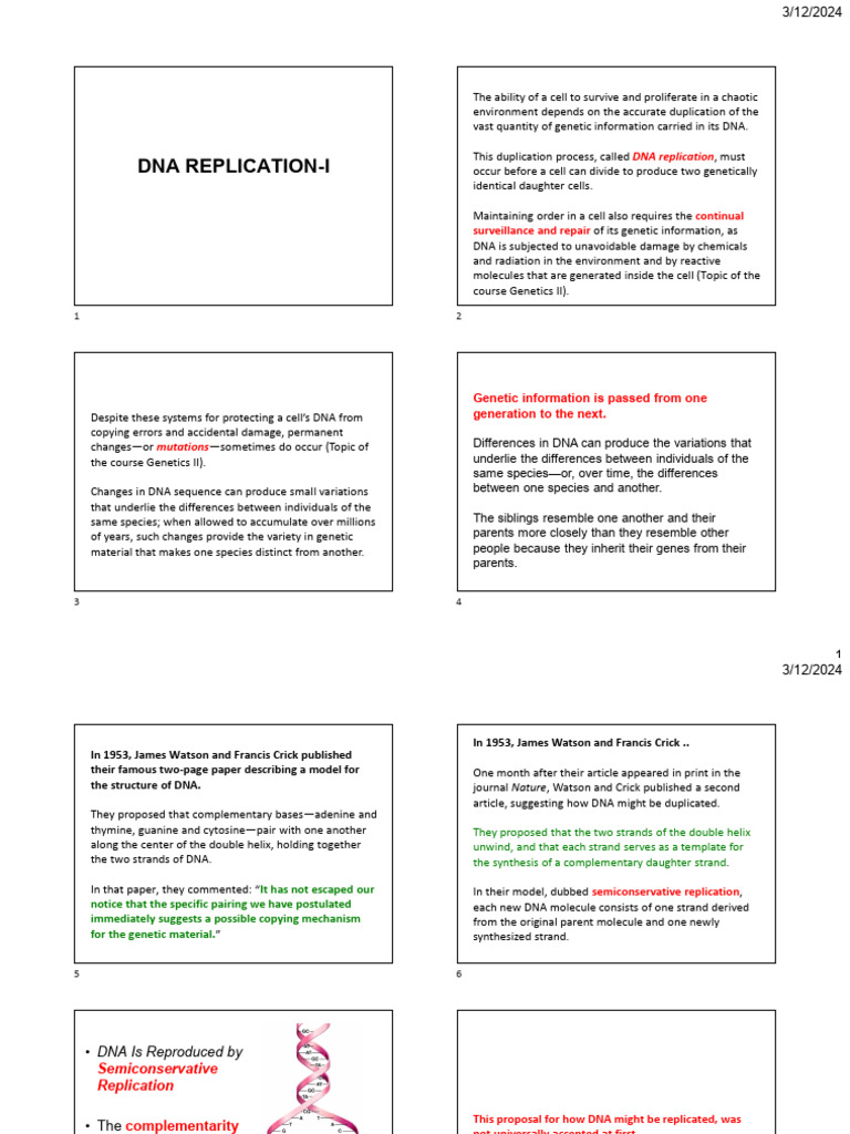 DNA Repl Prokaryotes | PDF