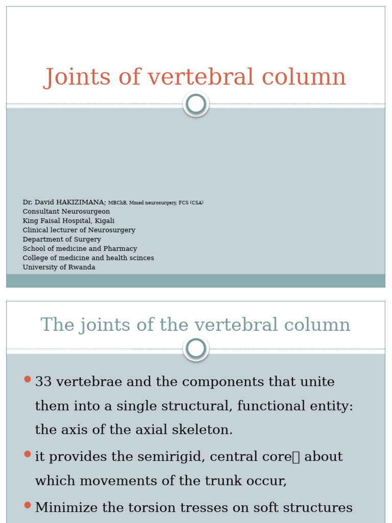 Joints of The Vertebral Column | PDF