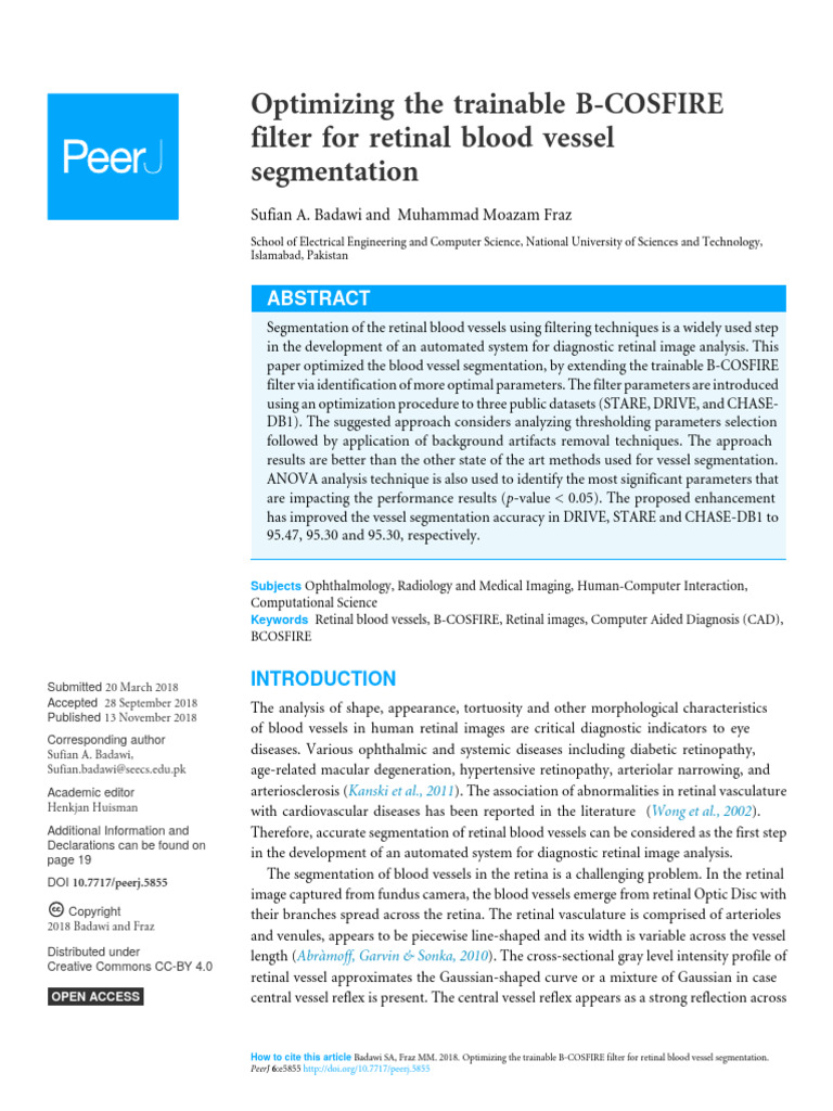 Optimizing The Trainable B-COSFIRE Filter For Retinal Blood Vessel ...