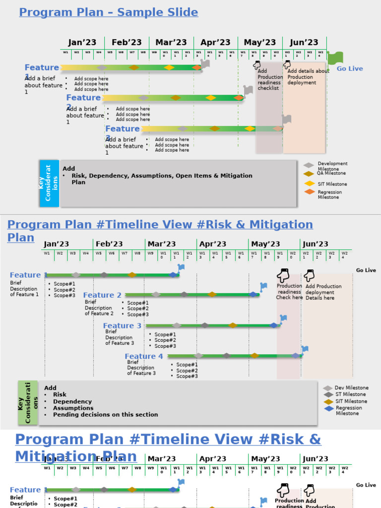 Program Plan & Timeline View | PDF