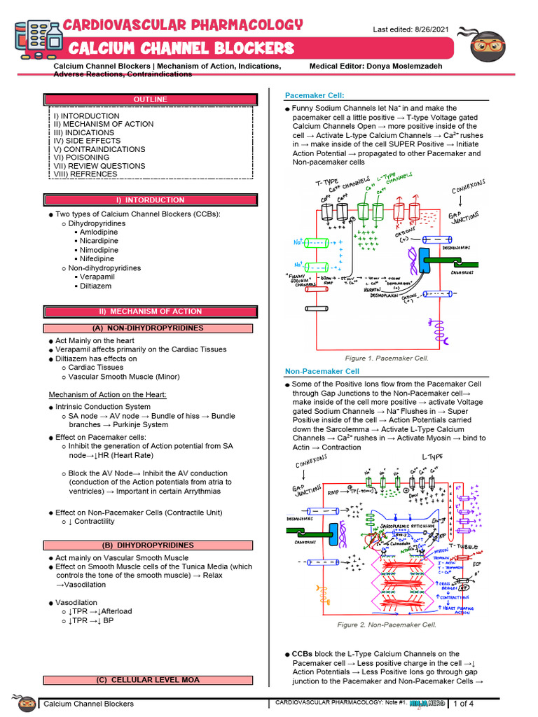 Calcium Channel Blockers Mechanism of Action, Indications, Adverse ...