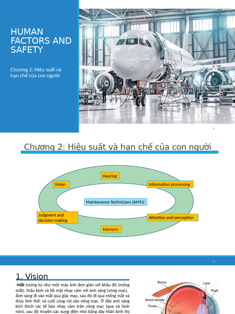 HUMAN FACTORS AND SAFETY - Chapter 2 | PDF