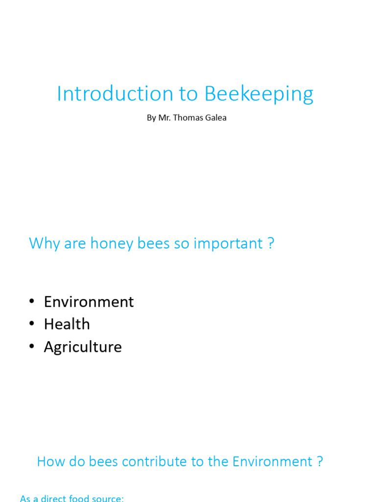 MCAST - Introduction To Beekeeping Course | PDF