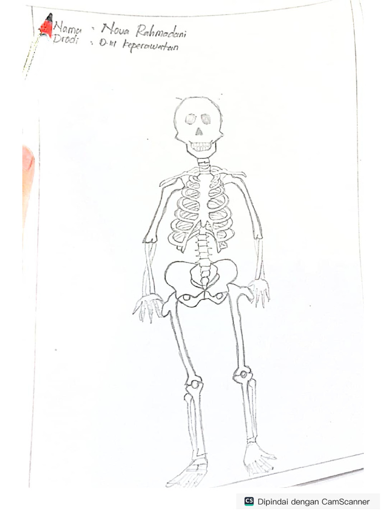 Kep - PLG - Nova Rahmadani 2 | PDF