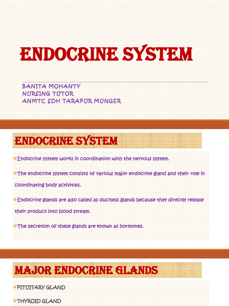 Endocrine System | PDF