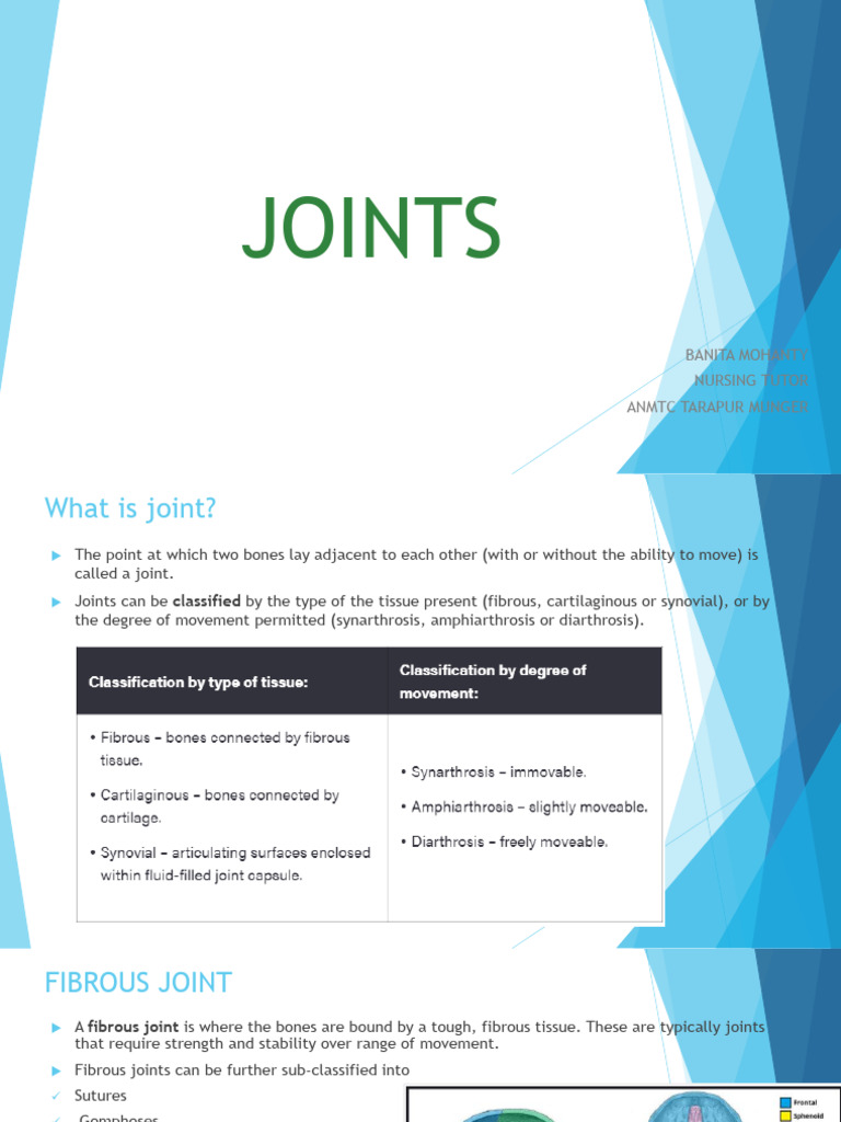 Joints | PDF | Anatomical Terms Of Motion | Joint