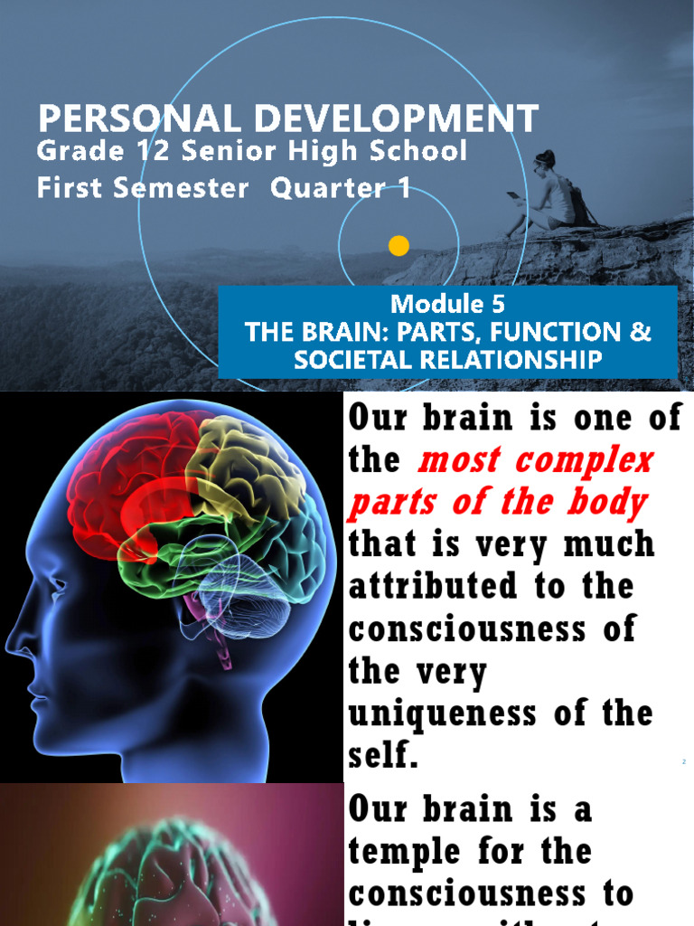 Understanding Brain Structure and Function | PDF | Brain | Consciousness