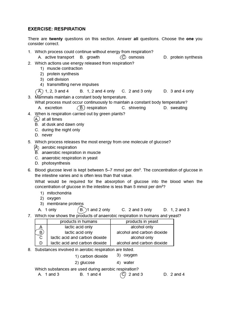 IGCSE-ExerciseMC Respiration | PDF