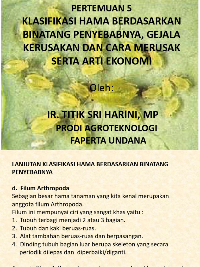 Pertemuan 5. Klasifikasi Hama Berdasarkan Binatang Penyebabnya, Gejala ...