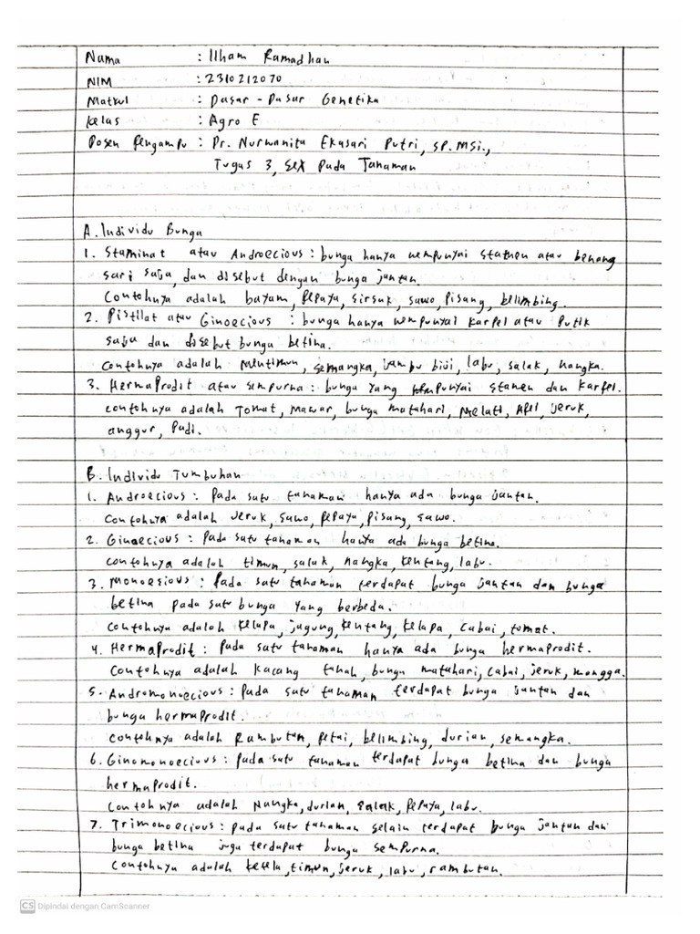 Tugas 3 DDG - Ilham Ramadhan | PDF