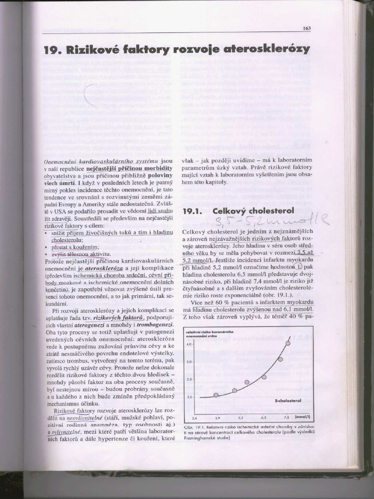 KB Racek 2 Cast | PDF