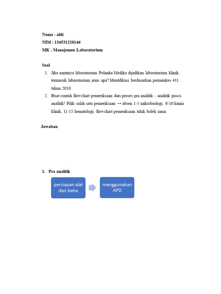 02.aldi Manlab | PDF