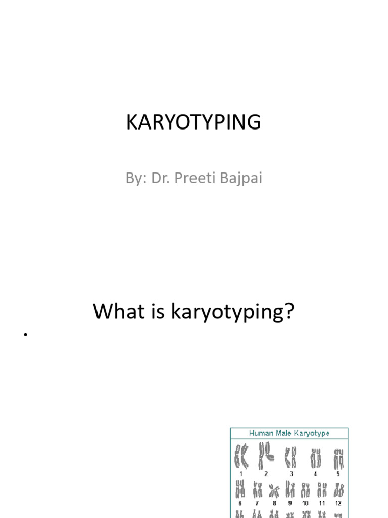 Karyotyping: By: Dr. Preeti Bajpai | PDF
