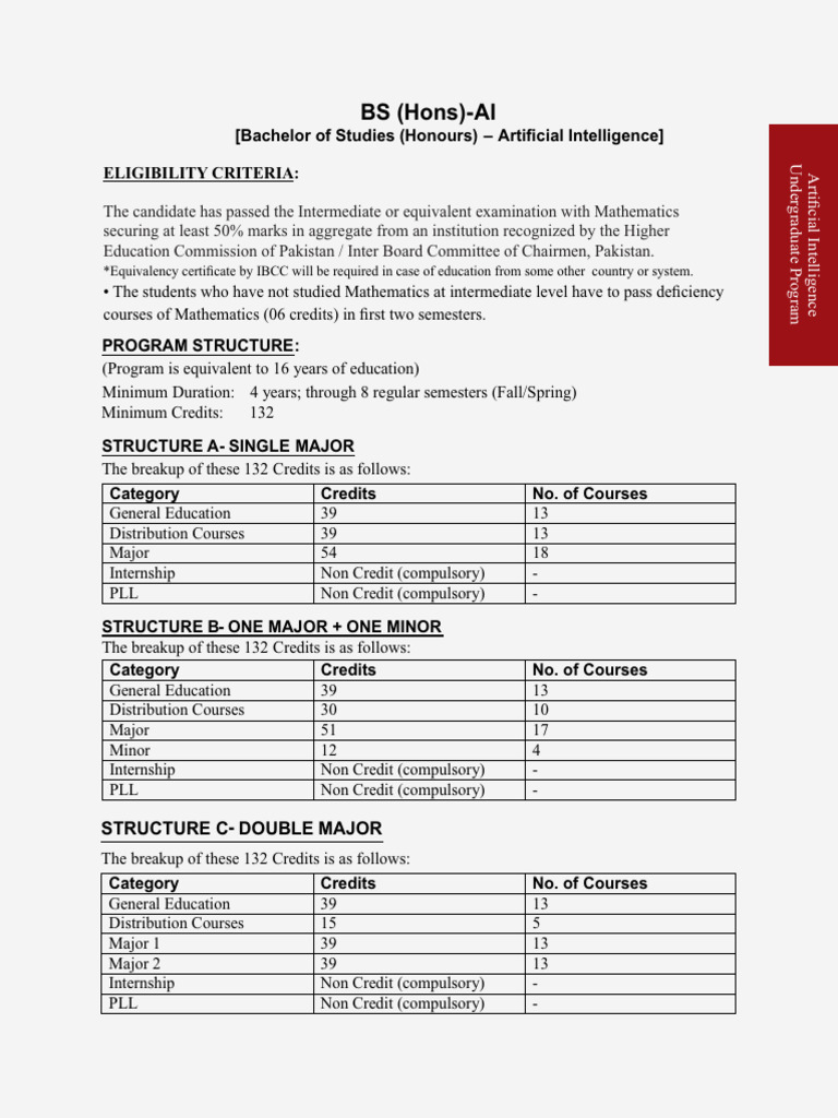 BSAI | PDF