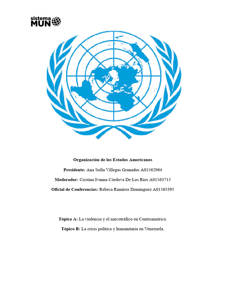 Background Paper OEA 2da Entrega | PDF