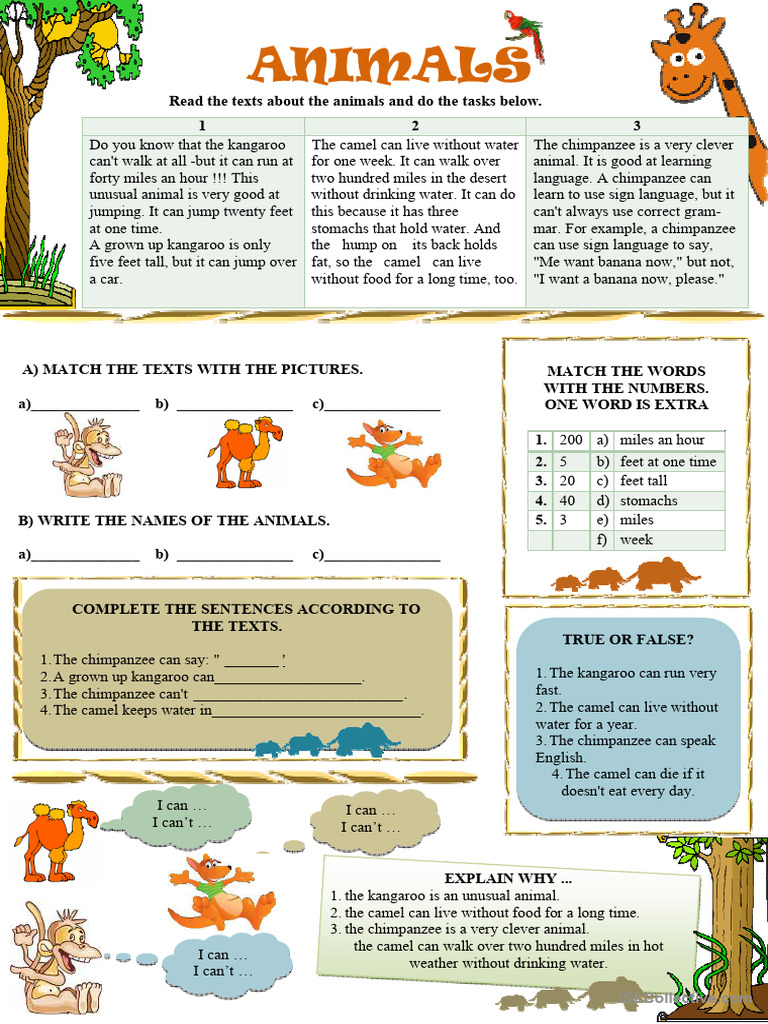 Reading Texts About Animals | PDF