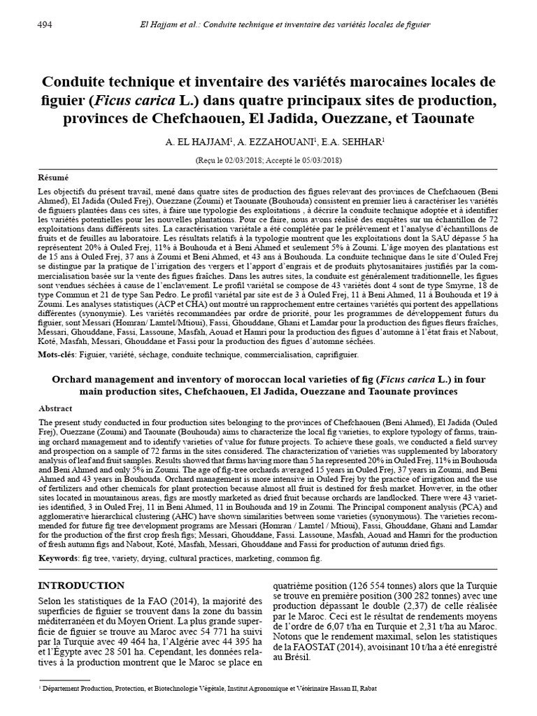 Conduite Techniques Figues | PDF