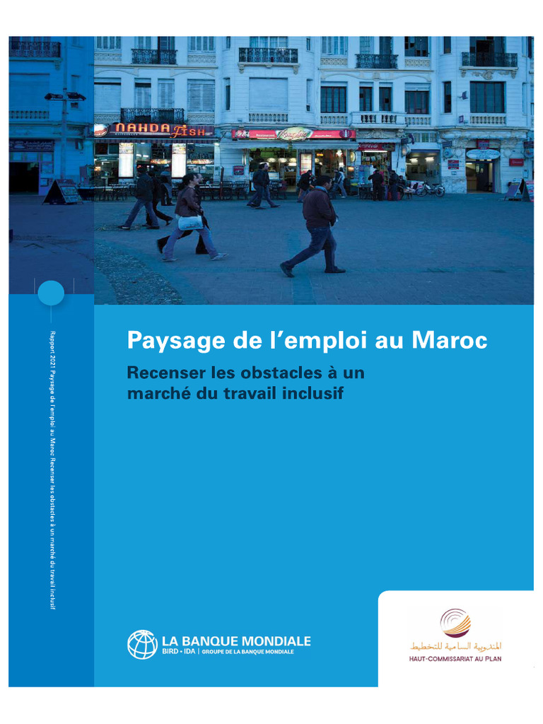 Rapport emploi-HCP-PNUD | PDF