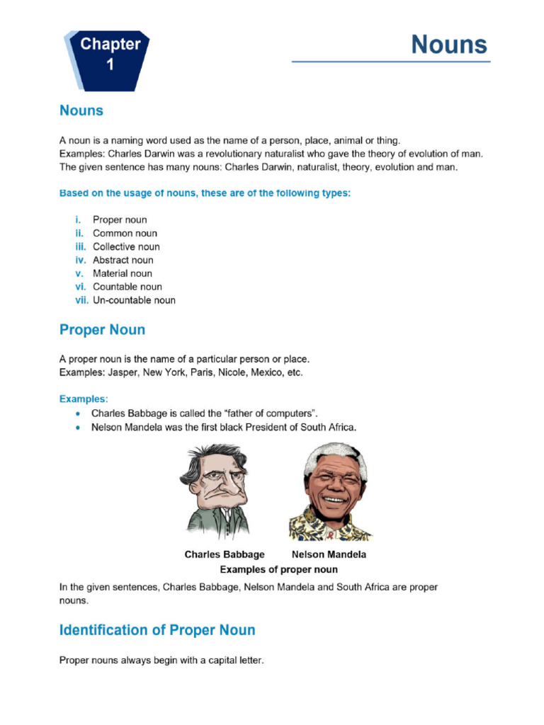 Chapter 1 - Nouns | PDF