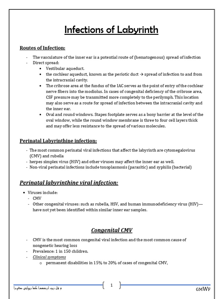 Infections of Labyrinth - To | PDF | Meningitis | Self-Improvement