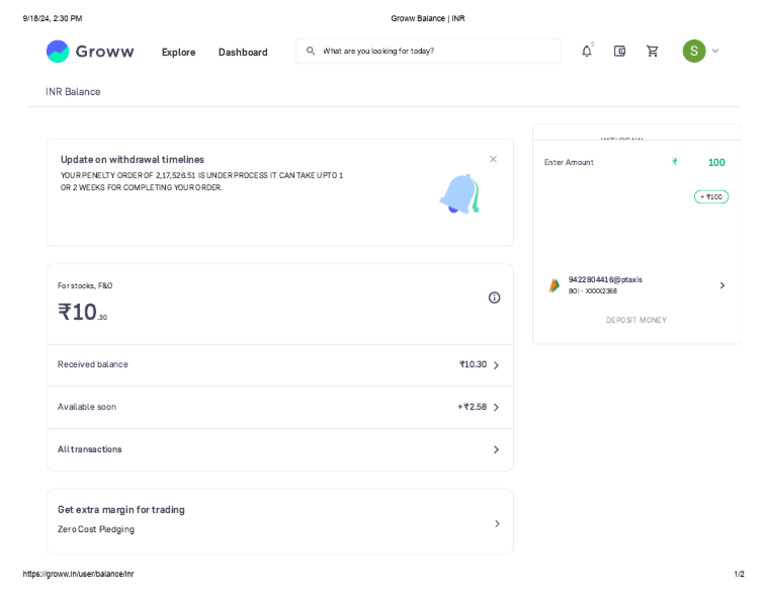 Groww Balance - INRDSDSS | PDF
