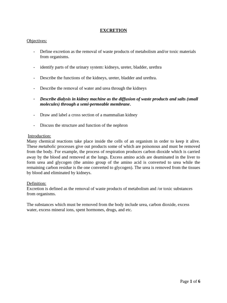 EXCRETION Notes - Editted2 | PDF