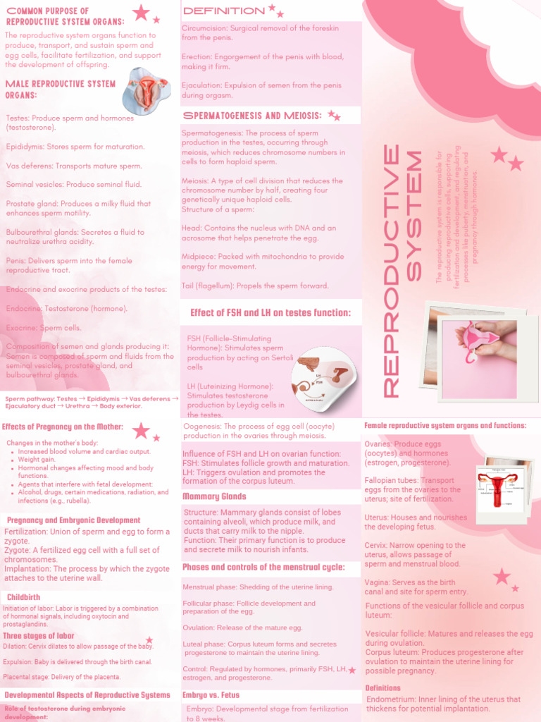 Anaphy Reproductive Brochure | PDF
