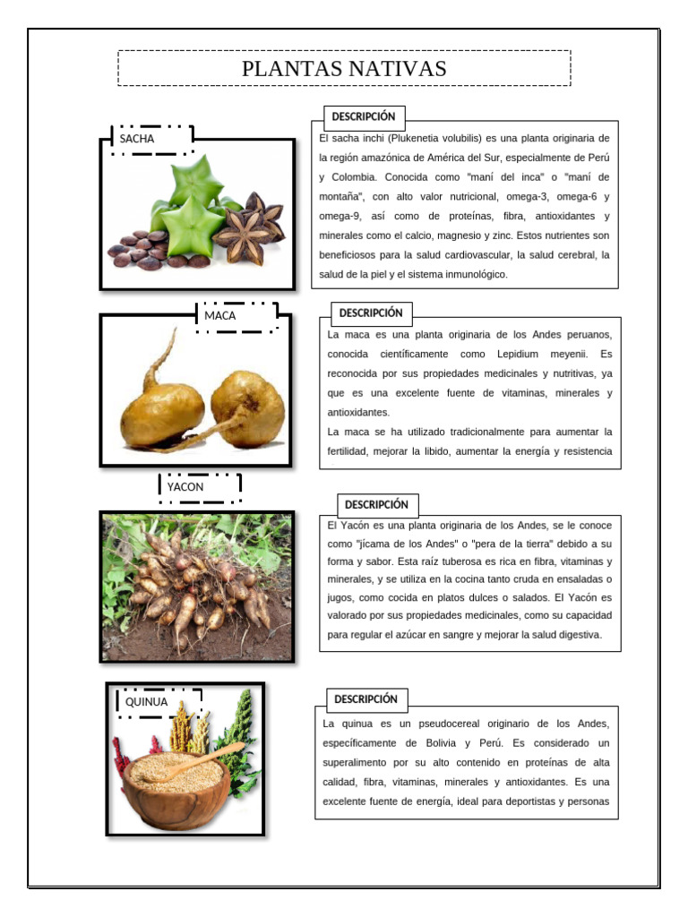 Plantas 2 | PDF