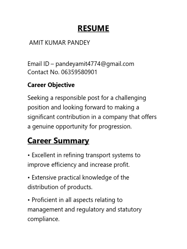 Amit CV J | PDF