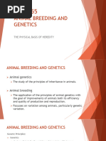Labeled Cow Skeletal System Diagram | PDF | Skeleton | Vertebra