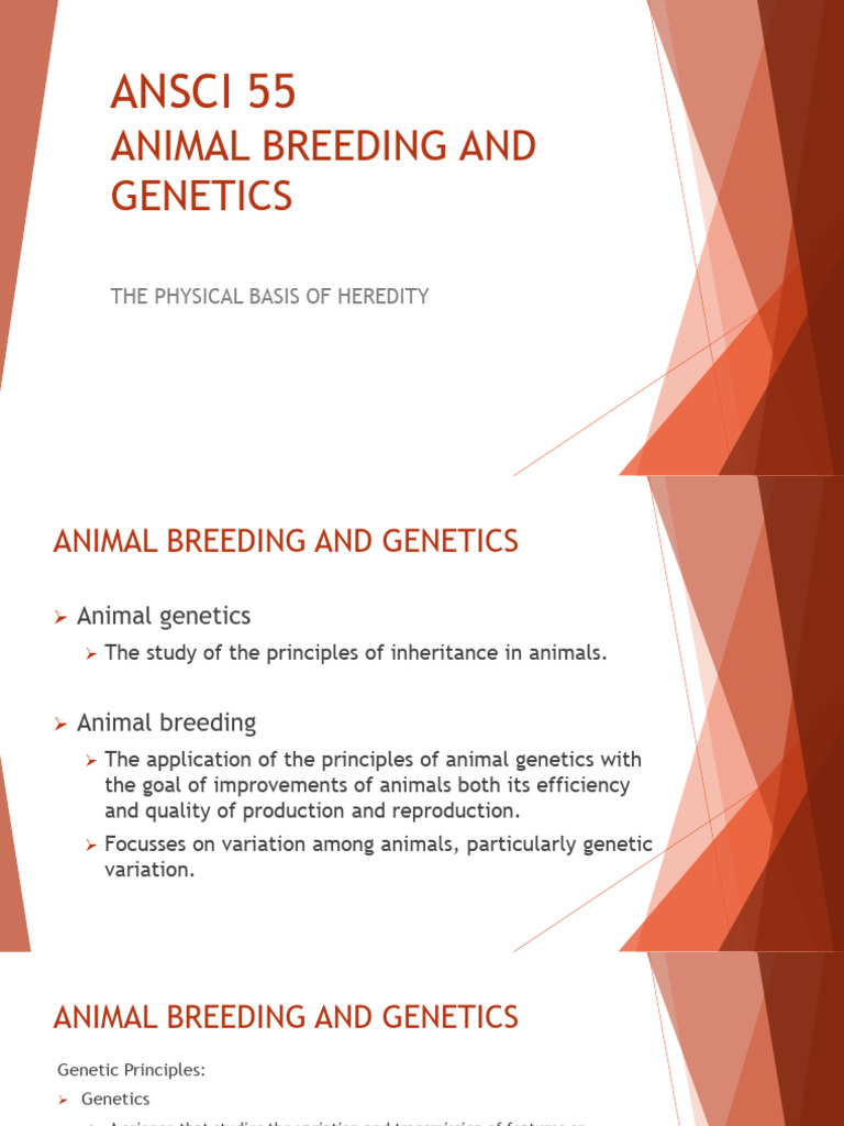 Animal Breeding and Genetics | PDF | Dominance (Genetics) | Genetics