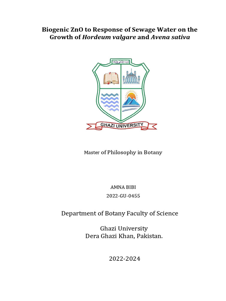 Amna Full and Final Thesis-2 | PDF