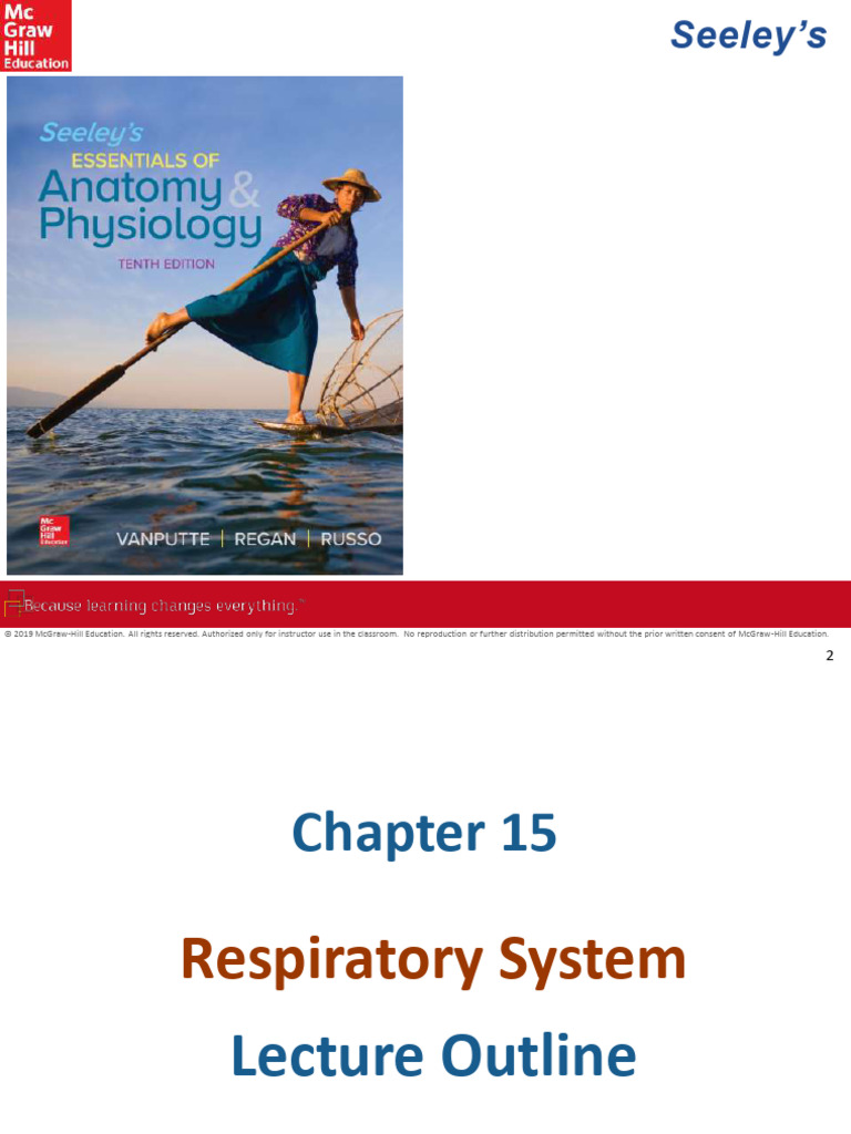 Ch15 Respiratory System | PDF