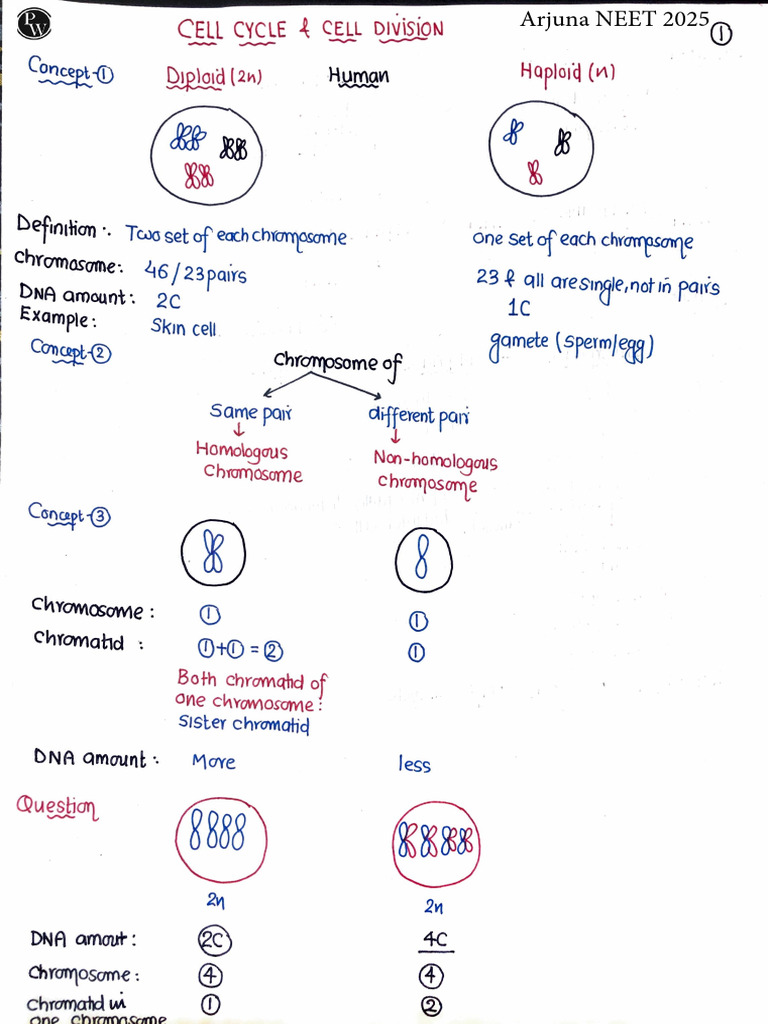 Cell Cycle and Cell Division 02 - Handwritten Notes - Arjuna NEET 2025 ...