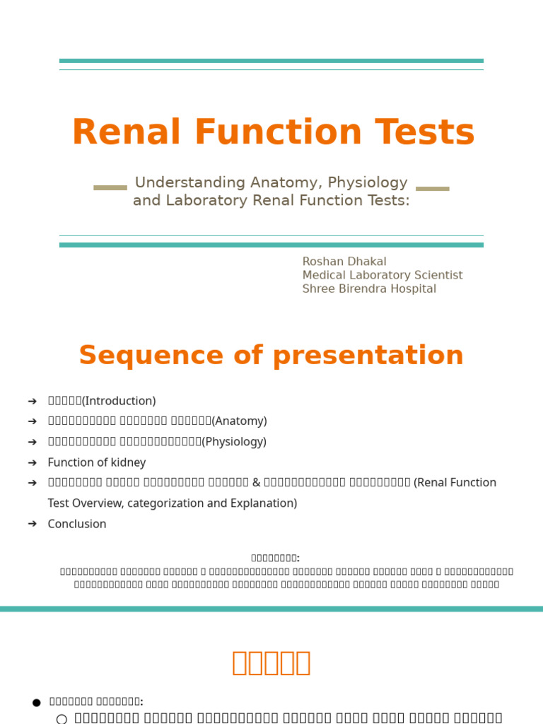 Renal Function Test | PDF