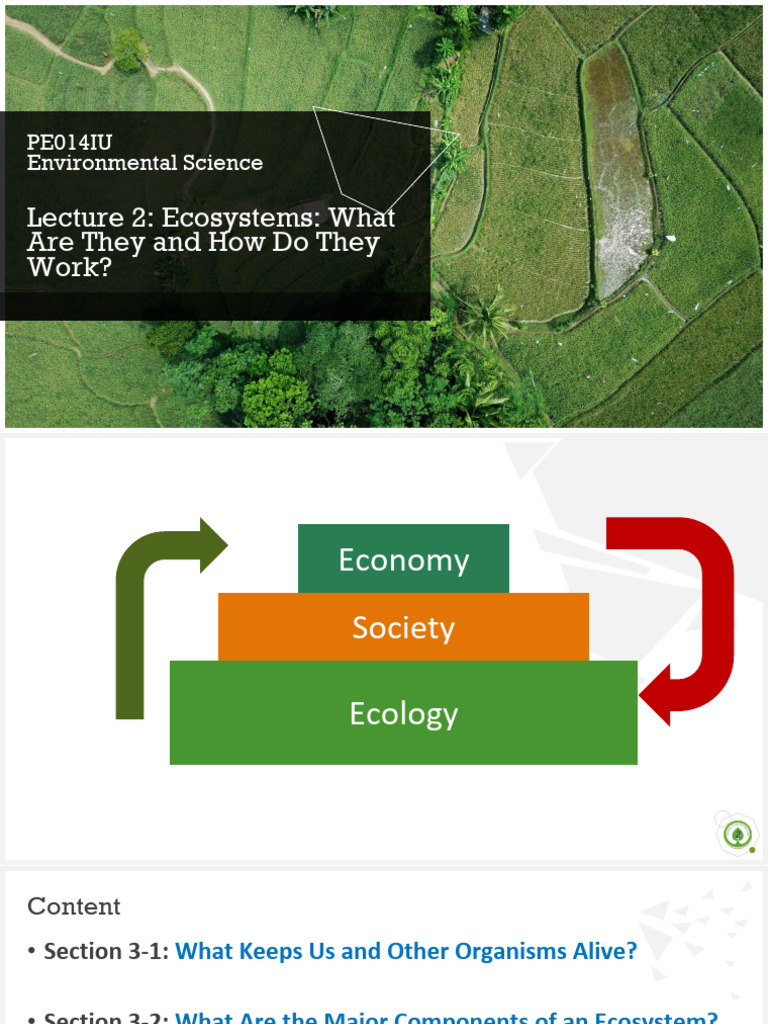Lecture 2 - Ecosystem | PDF