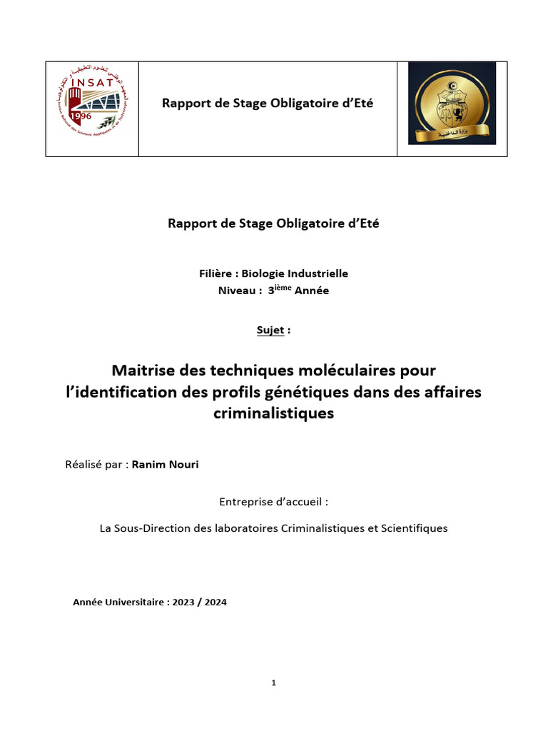 Rapport | PDF