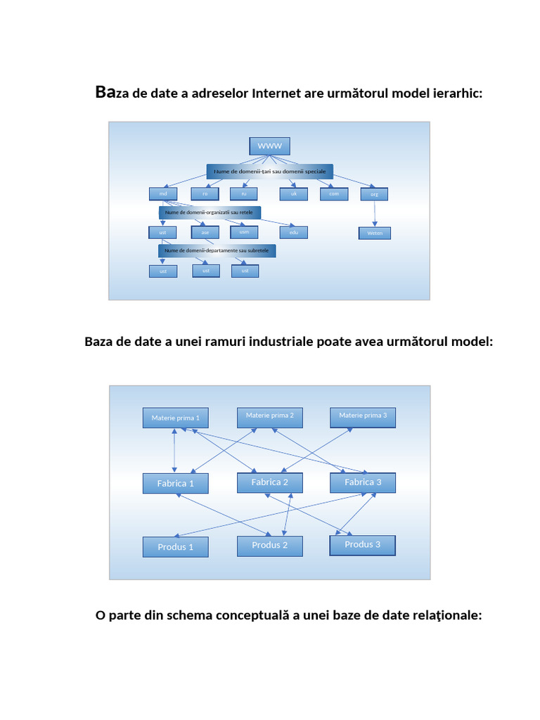 Baza de Date de Tip Ierarhic | PDF
