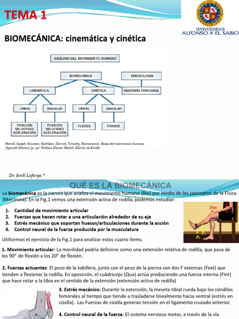 Tema 1 - CINÉTICA - Definitivo | PDF