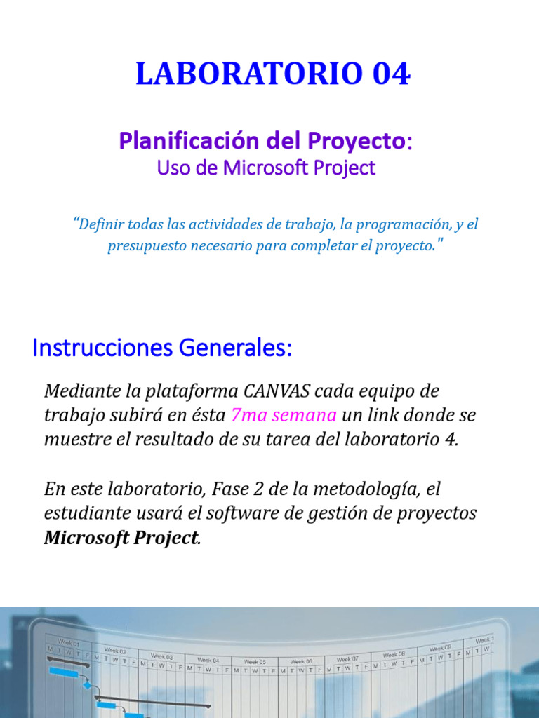 2024 II Lab 04 Project Planning | PDF