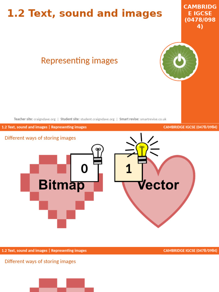 CAMBRIDGE IGCSE (0478-0984) 1.2 Representing Images | PDF