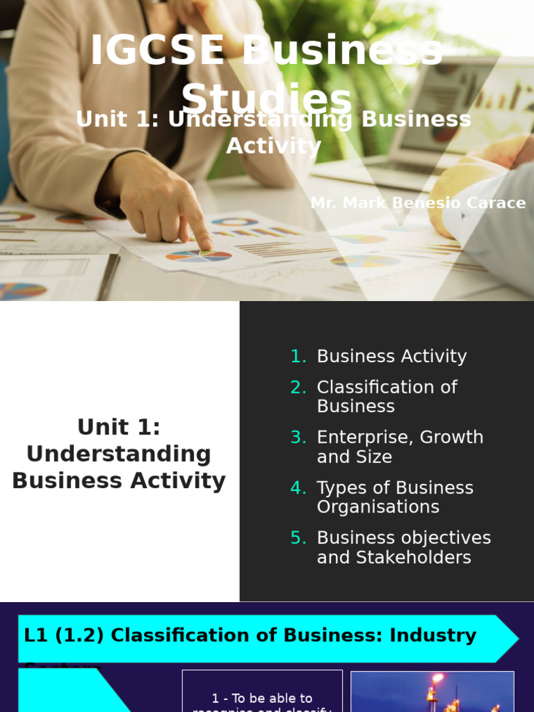 Chapter 2 Classification of Businesses | PDF