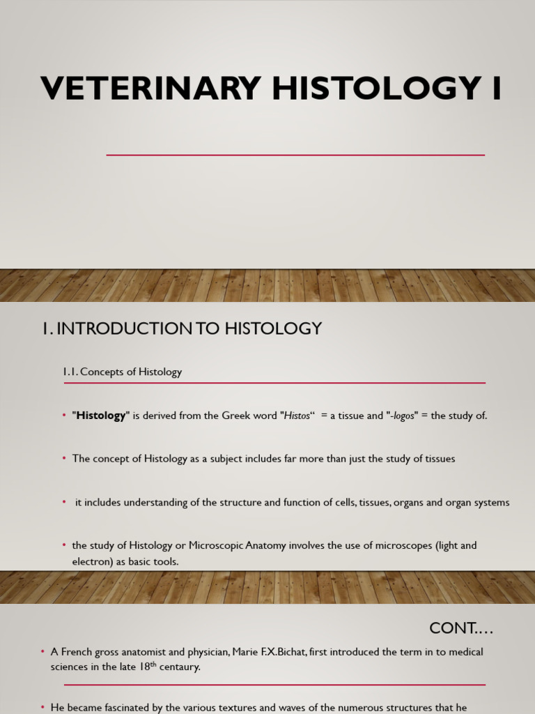 Histology I | PDF