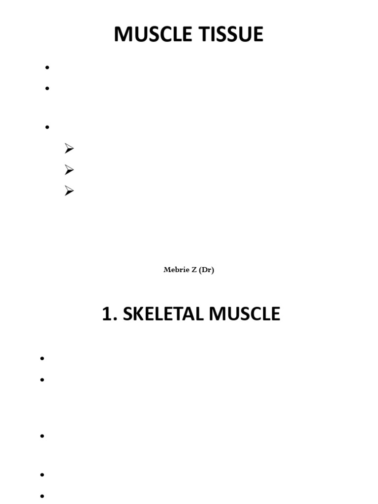 Histology of Muscle | PDF