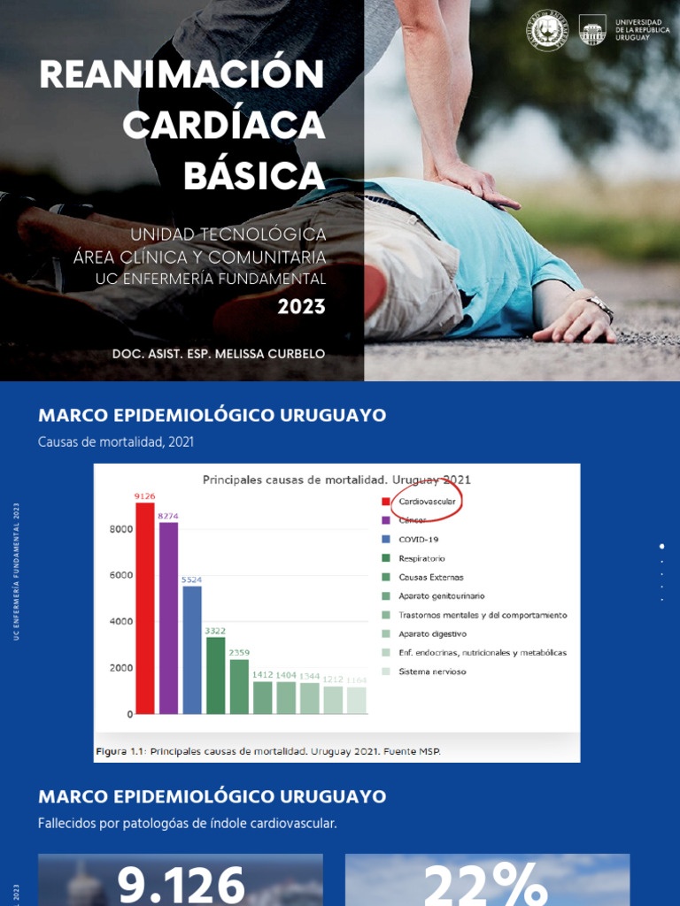 Clase RCB - Enfermería Fundamental 2023. | PDF