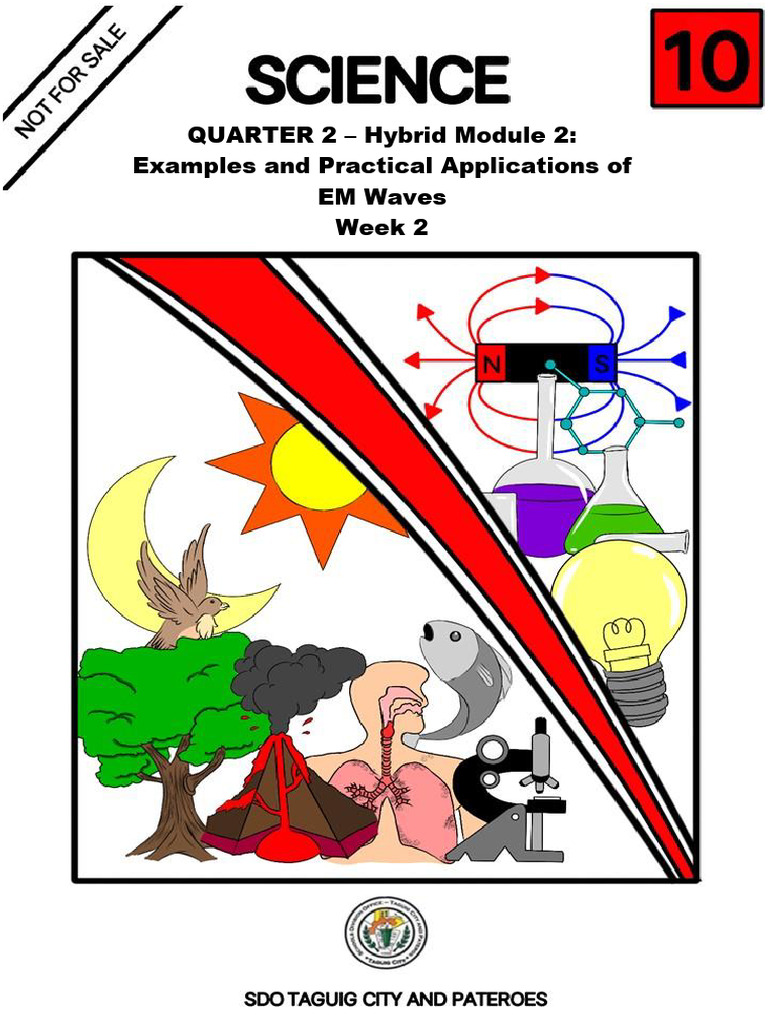 S10 Q2 Enhanced Hybrid Module 2 Week 2 Final | PDF
