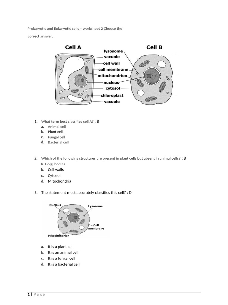 Worksheet 2 - Prokaryotic and Eukaryotic Cells | PDF
