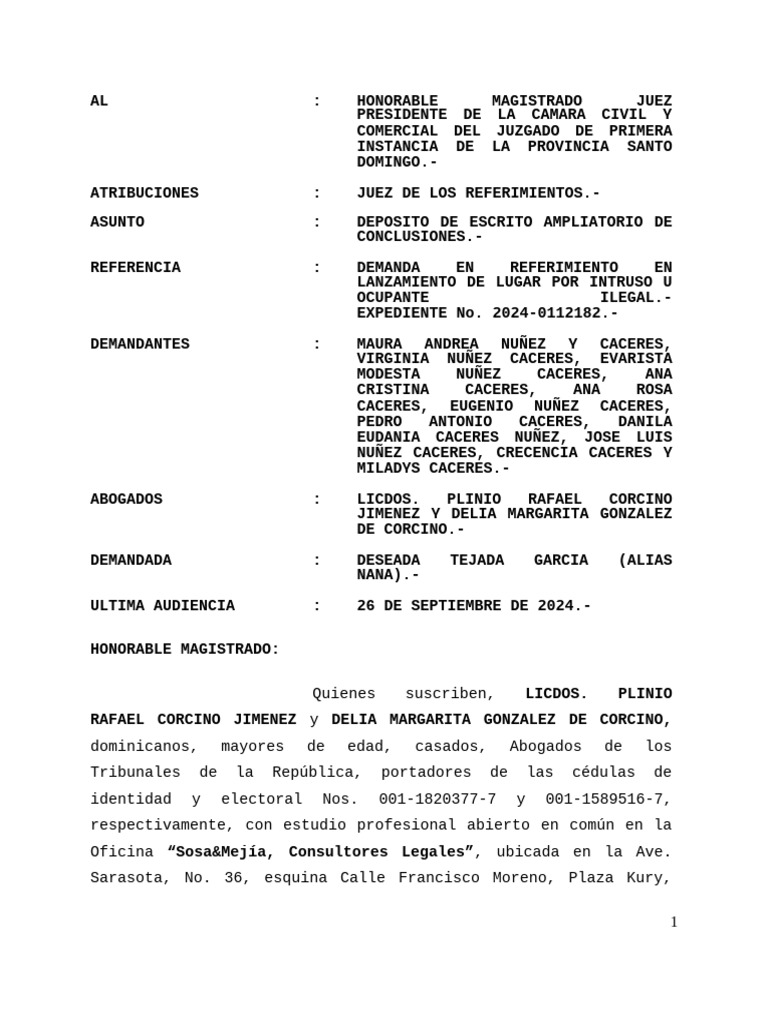 EscritoConclusionesDemandaLanzamientoNena 1.osc | PDF