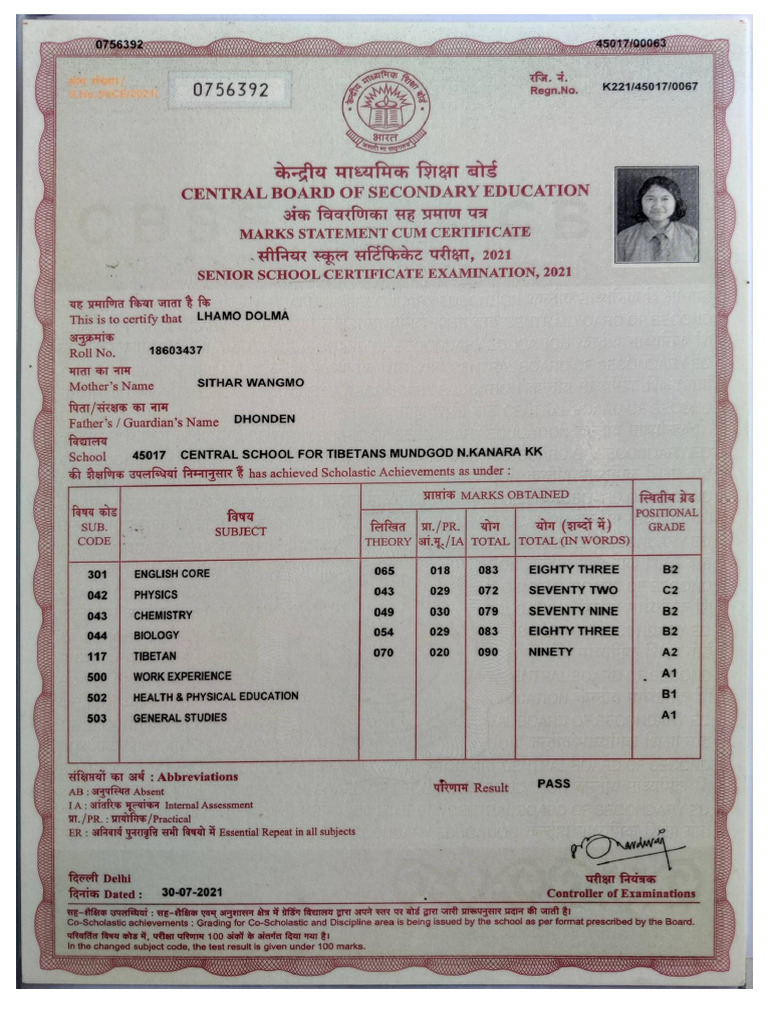 Class XII Marksheet | PDF