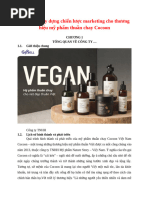 COCOON TẦM NHÌN SỨ MỆNH MỤC TIÊU | PDF